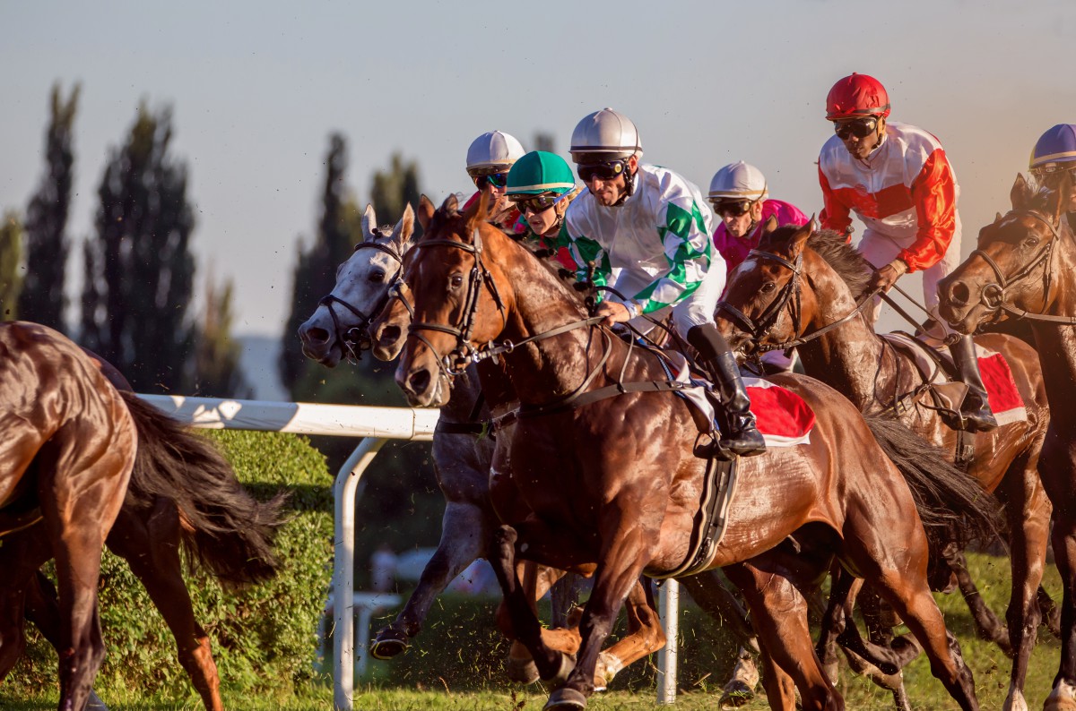 Richard FitzGerald steps down as RMG CEO