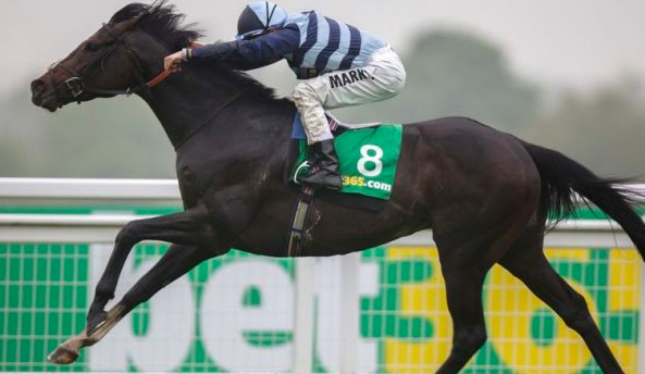 Racing Post confirms bet365 as first customer of its international ...