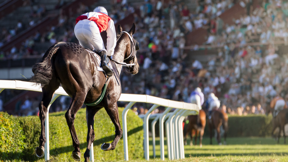 BHA’s Nick Rust honoured with OBE