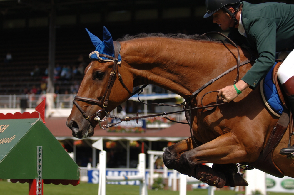 Denis Egan announces early retirement from IHRB