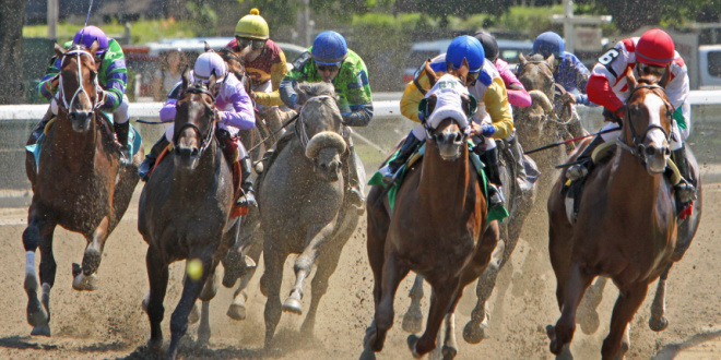 IZIBET bolsters racing portfolio with XB Net partnership